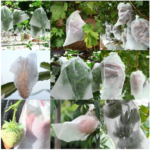 Banana/Grape/Apple/Mango Fruit Protection Bags for Fruit on Trees ...